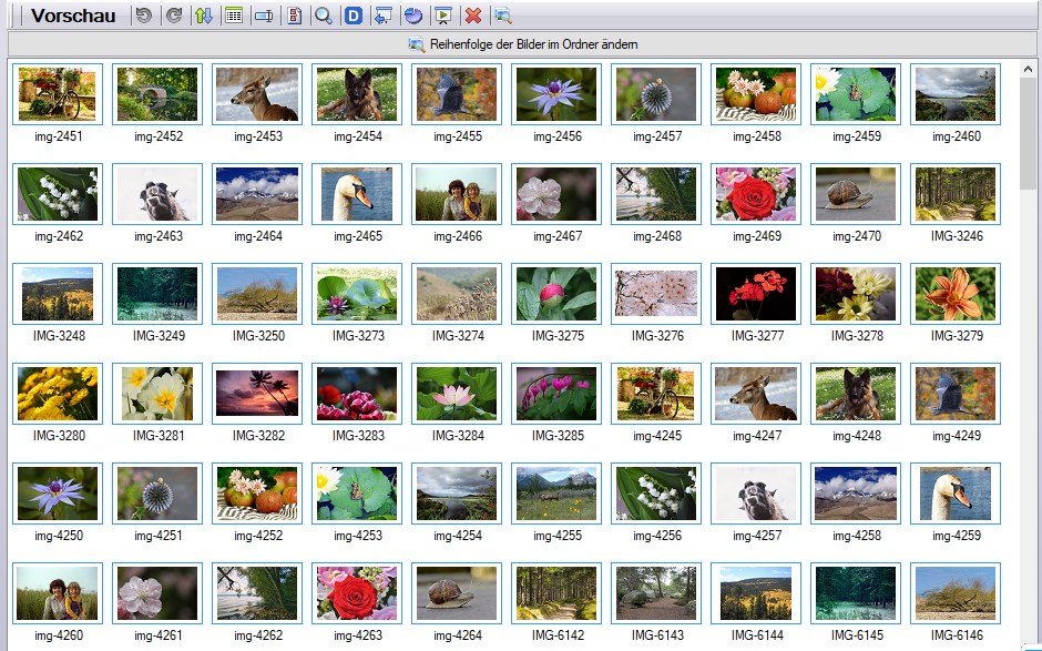 Bilder Sortieren PC - Tipps zum Ordnen von Fotos
